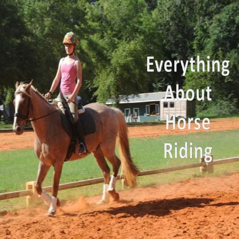 Everything about horse riding | PPSX