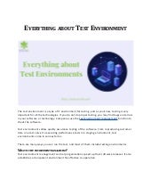 Understanding Test Environments Management | PDF