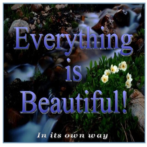 Everything Is Beautiful | PPS