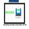 Everything You Need to Know About CSV File.pptx