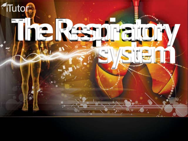 Respiratory System GRADE 6.pptx