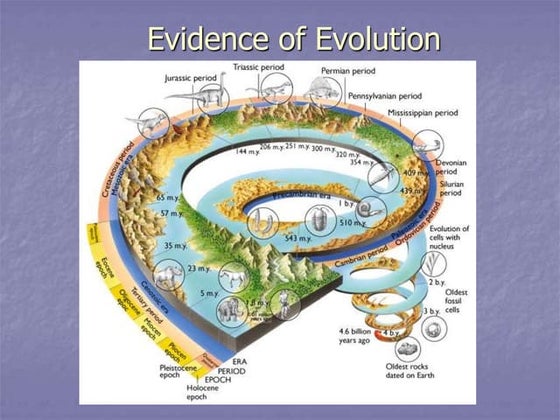 Evidence for evolution powerpoint | PPT