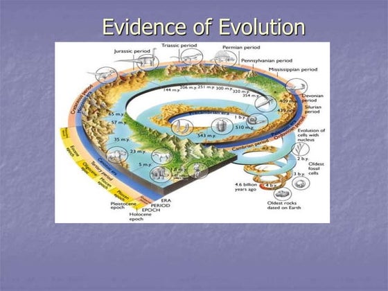Evidence_of_Evolution.ppt
