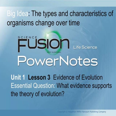 Evidence of Evolution (3).ppt