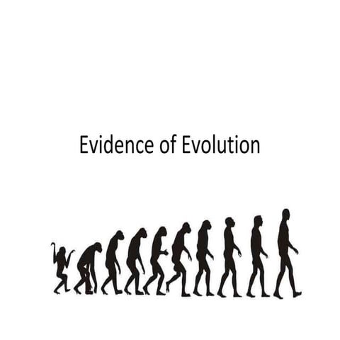 Evidence of evolution biology | PPT
