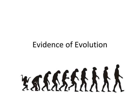 Evidence of evolution | PPTX | Geology | Science
