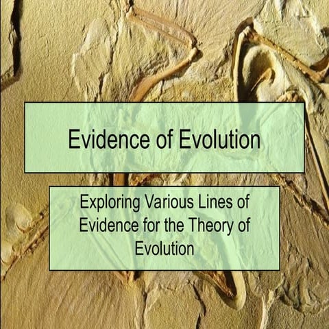 evidence_of_evolution grade 10 learners_ii.ppt