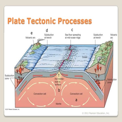 Evidence of Plate Tectonic Processes | PPTX