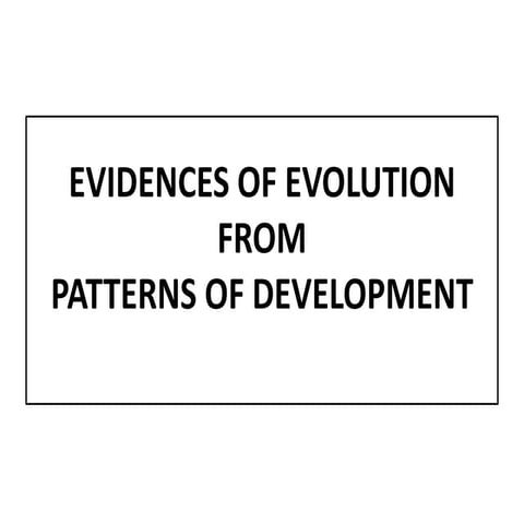 Evidences of evolution from patterns of development | PPT