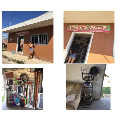 Topologia de malla y arbol | DOCX