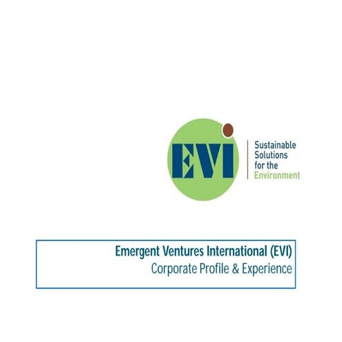 EVI Profile 2010 | PDF