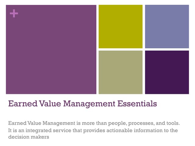 Earned Value Management Services & System | PDF