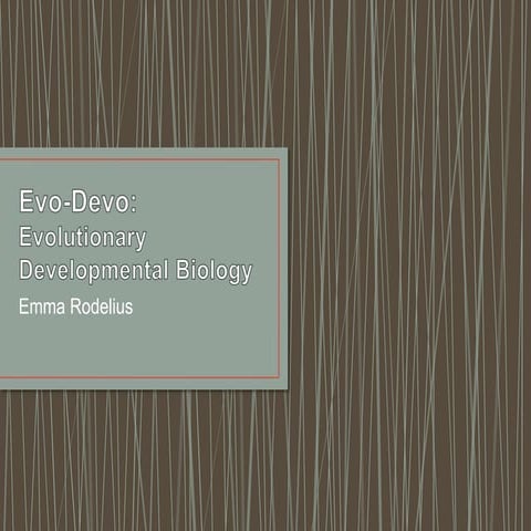 Evo-Devo | PPTX