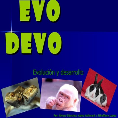 Evo-Devo | PPTX