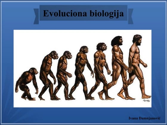 8. Evolucija coveka | PPT