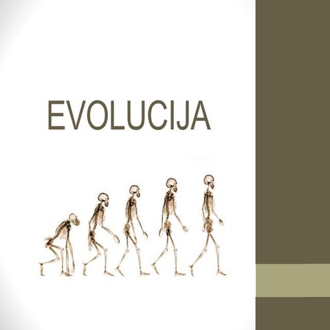 Evolucija | PPTX