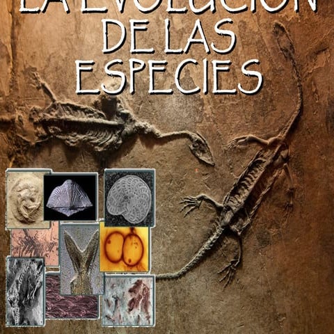 La evolución | PPTX