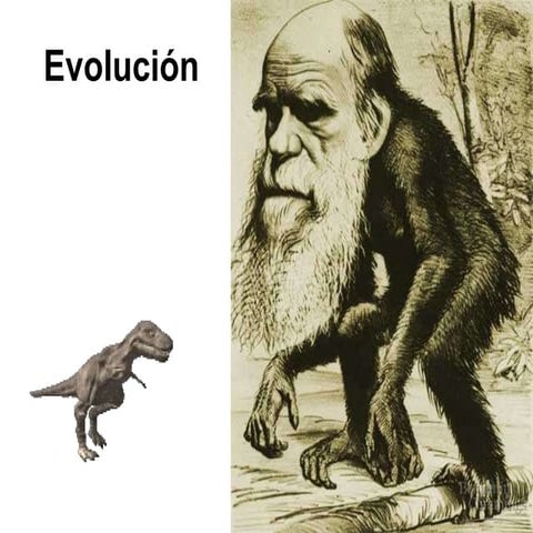 Evolucion | PPT