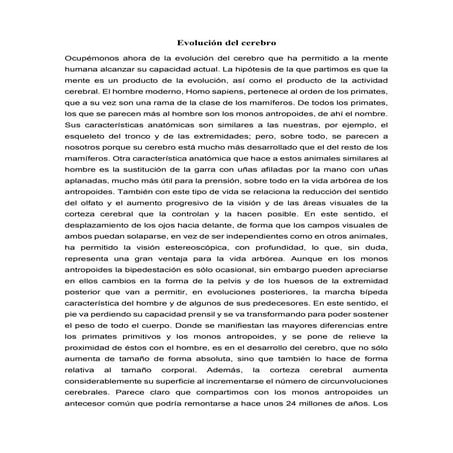 Evolucion del cerebro humano | PDF