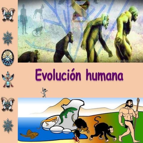 Evolución Humana presentación con imágenes | PPTX