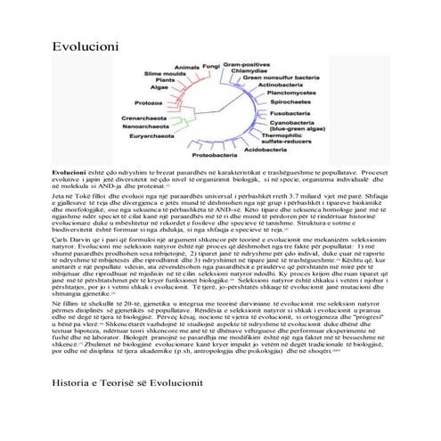 Evolucioni | DOCX
