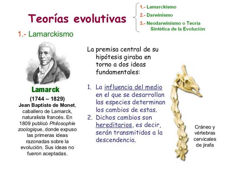 Evolución Darwiniana