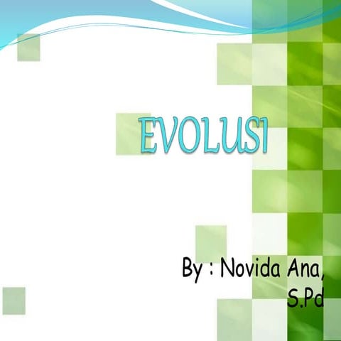 Evolusi | PPT