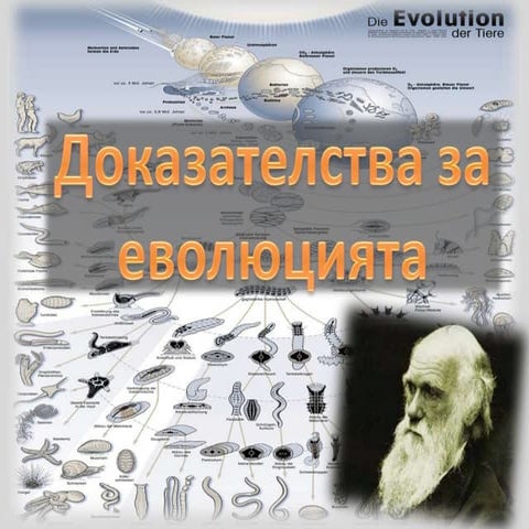 Evolution | PPT