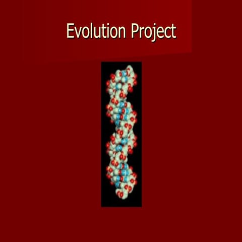 Evolution | PPT