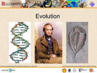 Darwin, Evolution, & Natural Selection (Intro) | PPT