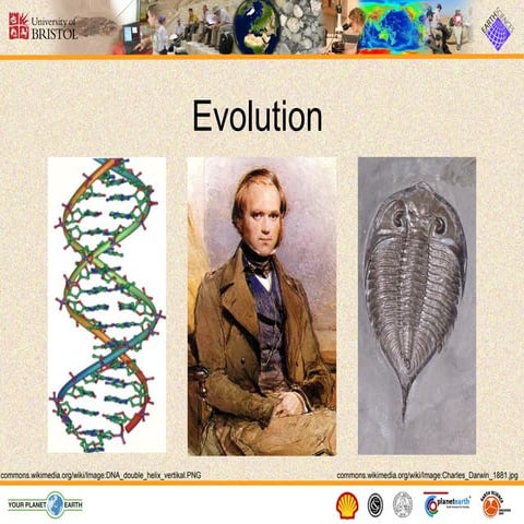 Evolution | PPT