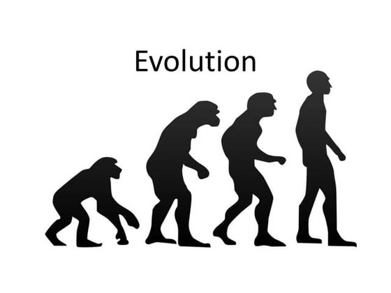 Darwin’s theory of evolution | PPT