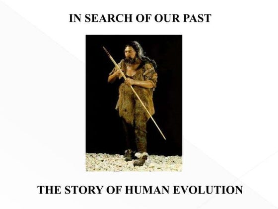 Human evolution | PPT