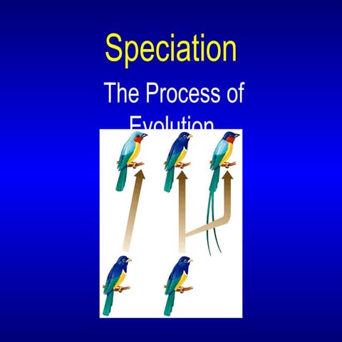 Evolution and speciation in life sciences | PPT