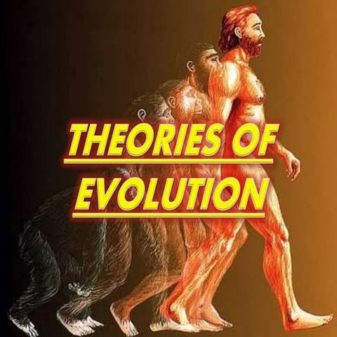 EVOLUTION AND MECHANISM OF EVOLUTION | PPTX
