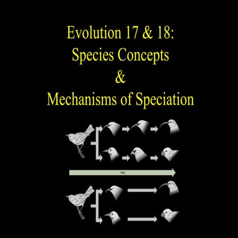 evolution-17_18.ppt