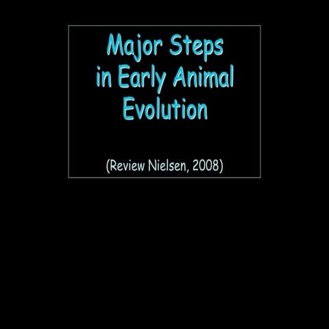 Evolution.ppt