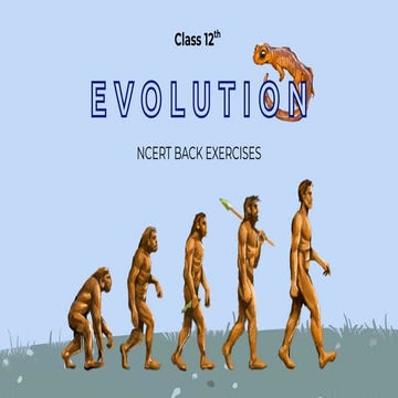 EVOLUTION *Question and Answers* CBSE NEET CLASS 12TH Presentation | PDF