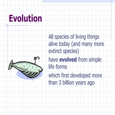 Evolution -the peppered moth presentation teacher version | PPT