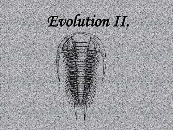 HUMAN EVOLUTION | PDF | Biological Sciences | Science