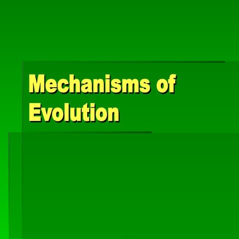 BIology_Evolution-Mechanisms-17-18-2.ppt