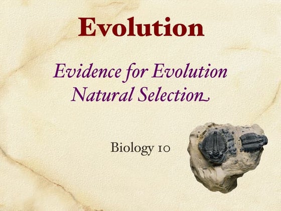 Evolution | PPT