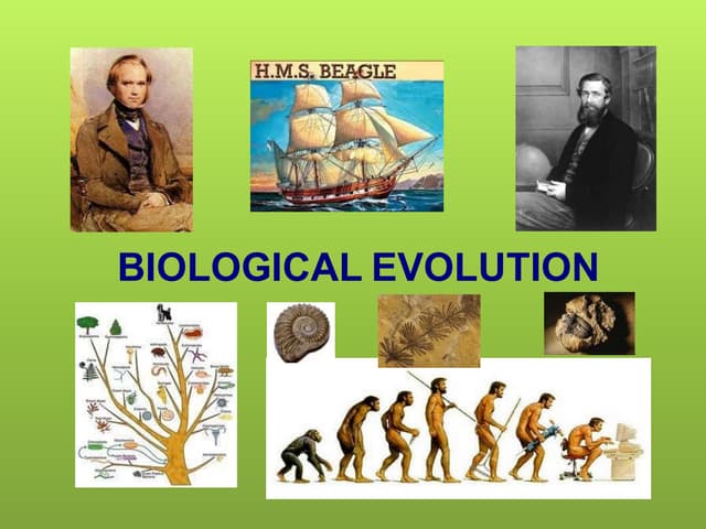 Theories of preformation, pangenesis, epigenesis, | PPTX | Biological Sciences | Science