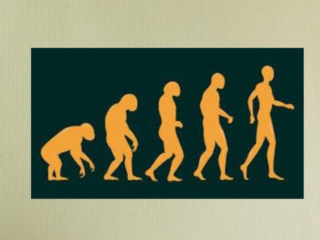 Evolution Presentation | PPTX