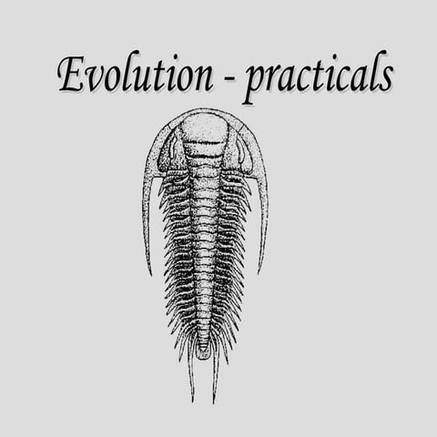 Evolution Practicals | PPT