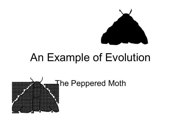 Evolution -the peppered moth presentation student version