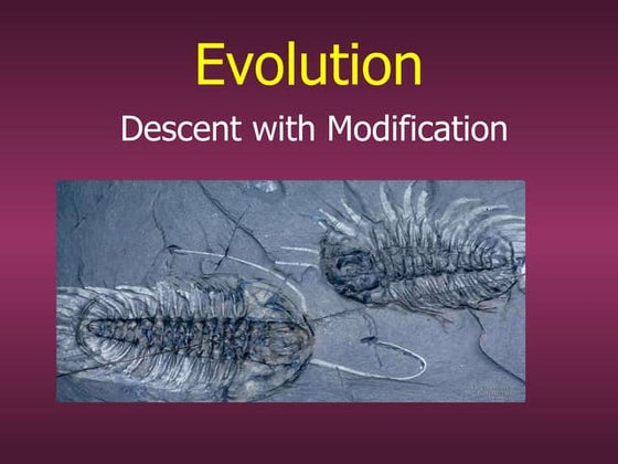 Darwin’s theory of evolution | PPT