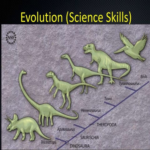 Species_Presentation_7th_Grade.pptx for 7 | PPTX