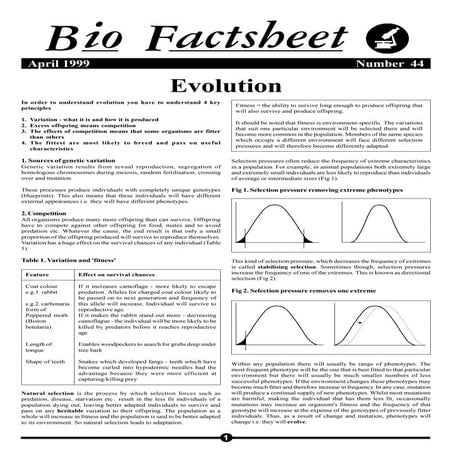 evolution2.pdf