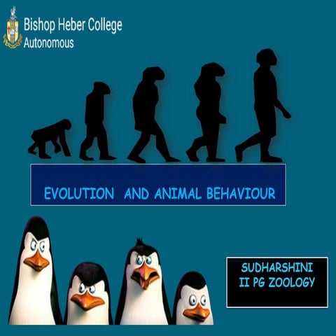 Evolution and animal behaviour | PDF
